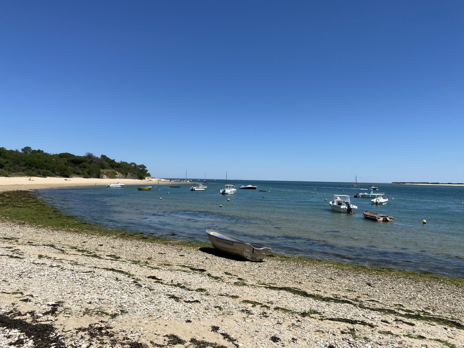 Les “Patachous” de l’île de Ré – Association pour l’Histoire de l ...